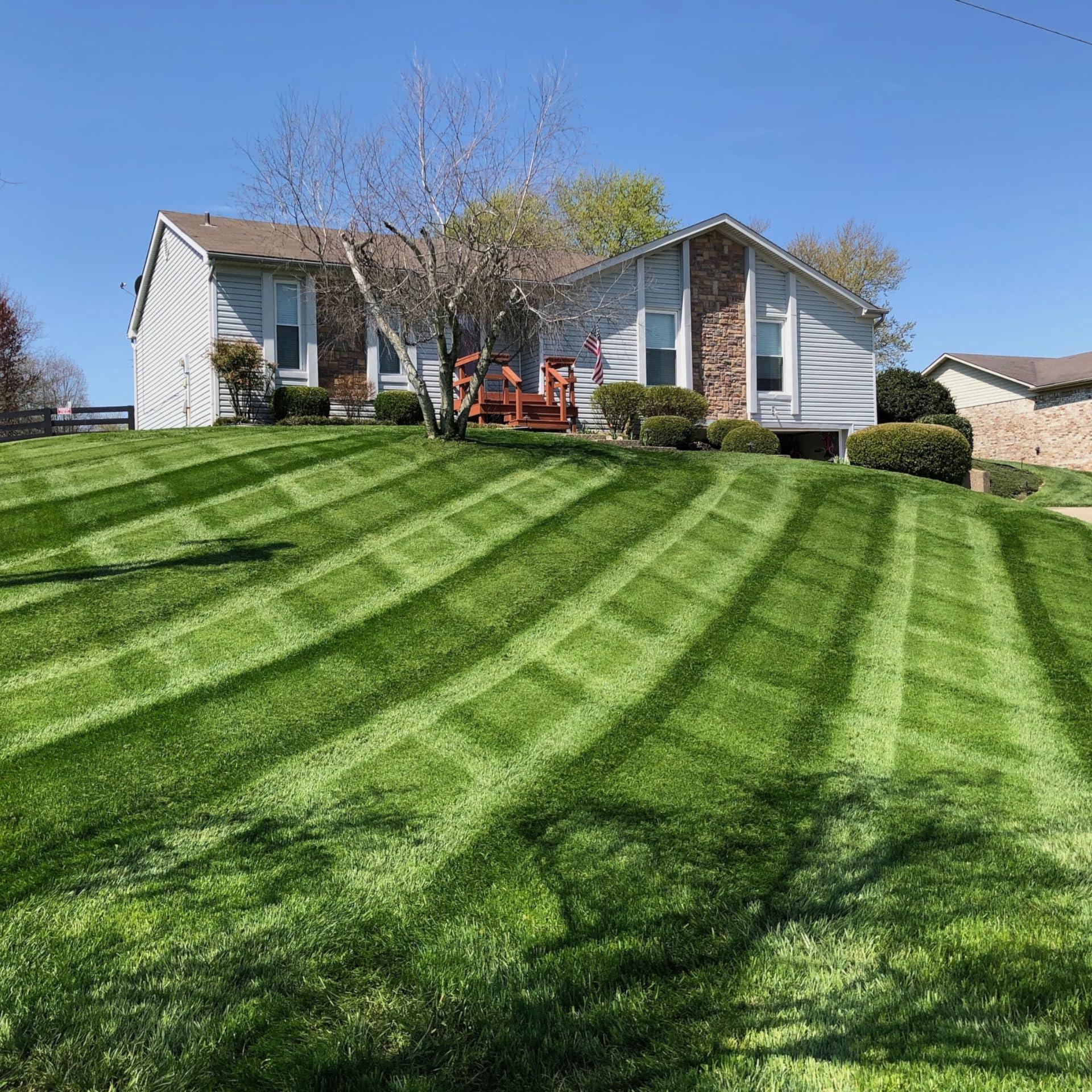 Lesco Tall Fescue Select Blend Grass Seed | Antego Tire & Wheel